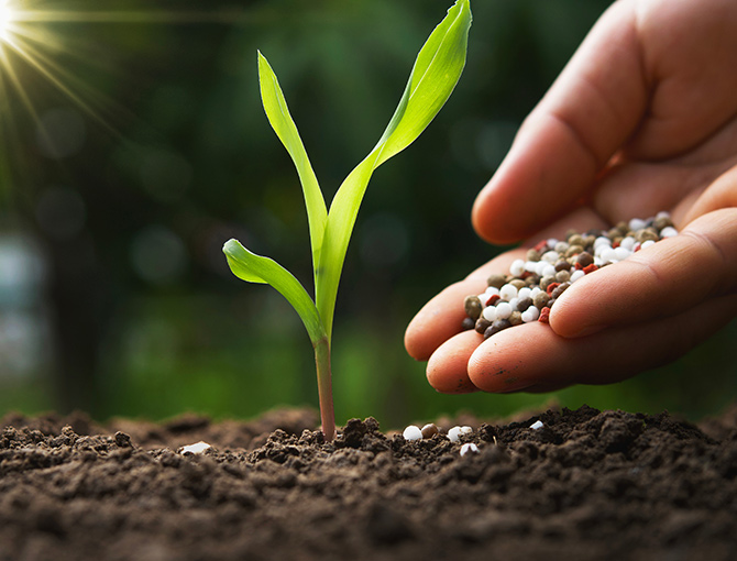 Leading Agriculture Business in Sri Lanka | DIMO Agri Businesses