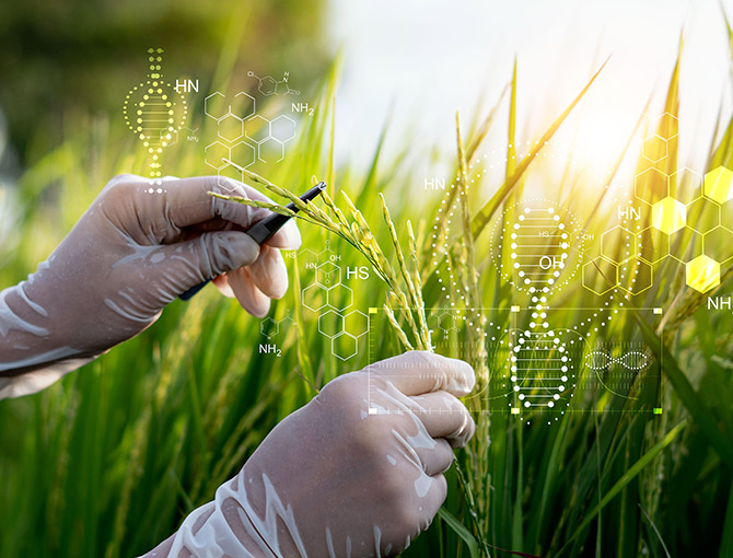 Leading Agriculture Business in Sri Lanka | DIMO Agri Businesses