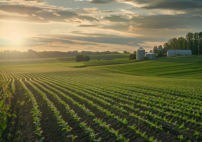 Leading Agriculture Business in Sri Lanka | DIMO Agri Businesses