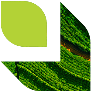 Leading Agriculture Business in Sri Lanka | DIMO Agri Businesses