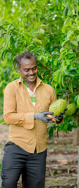 Leading Agriculture Business in Sri Lanka | DIMO Agri Businesses