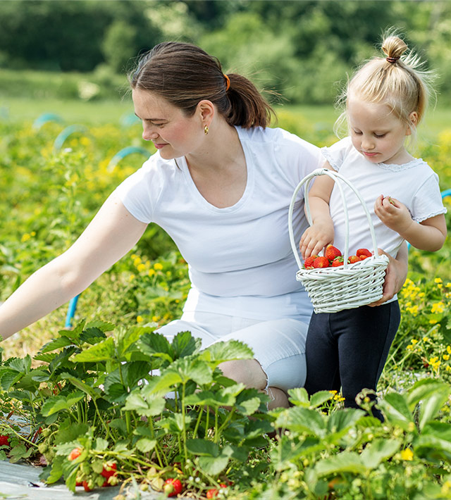 Explore Our Agri-Services & Brands | DIMO Agri Businesses