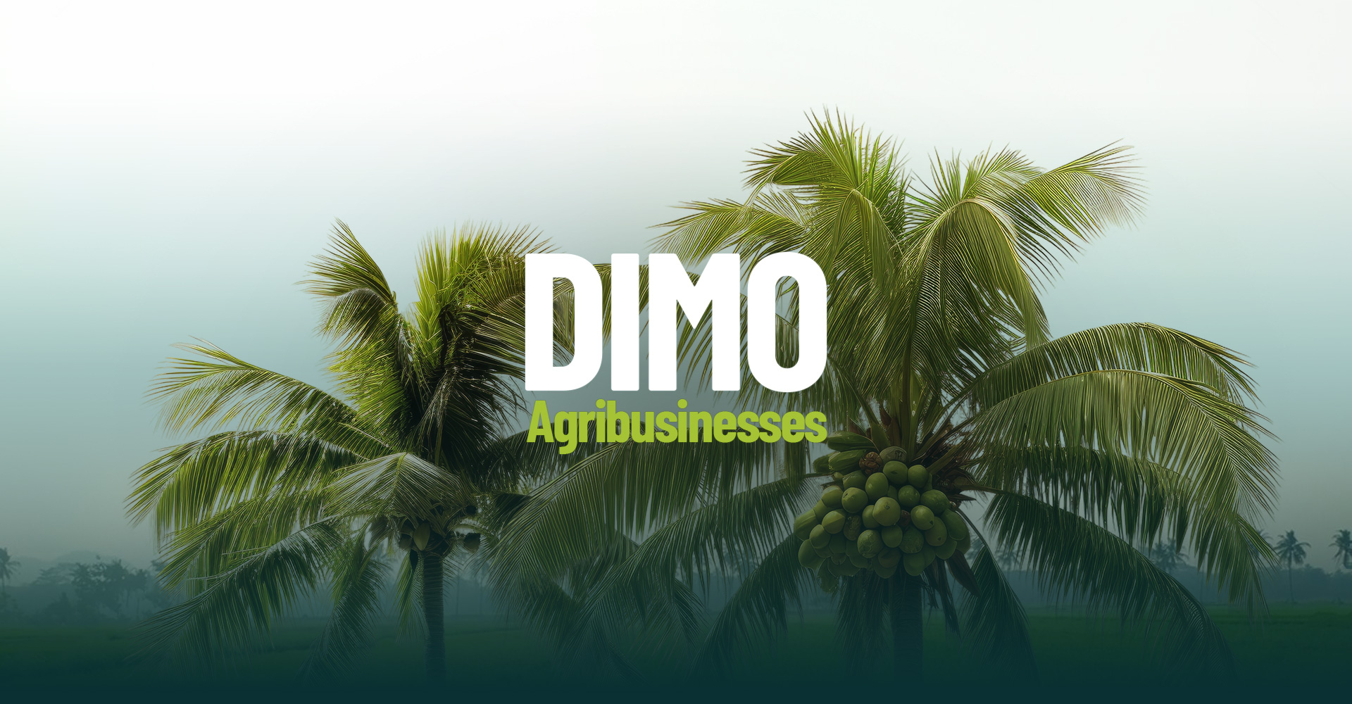 Leading Agriculture Business in Sri Lanka | DIMO Agri Businesses