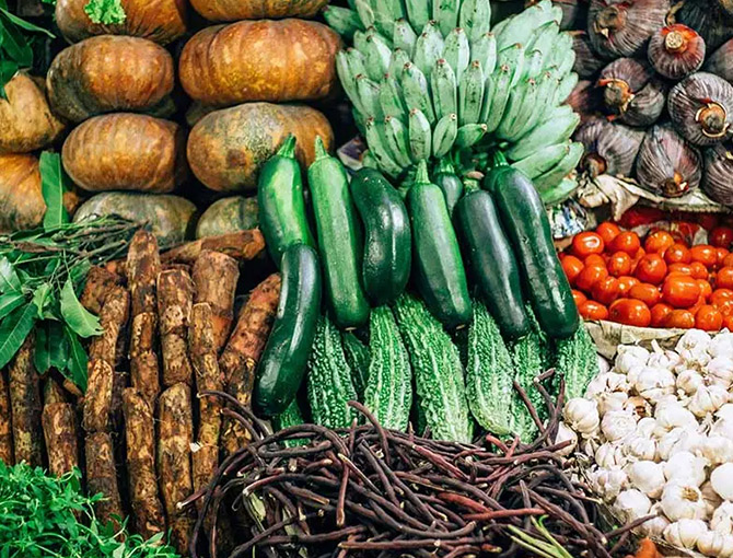 Leading Agriculture Business in Sri Lanka | DIMO Agri Businesses